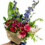 Jardin Eden - Centre jardin, paysagiste et fleuriste à Sherbrooke