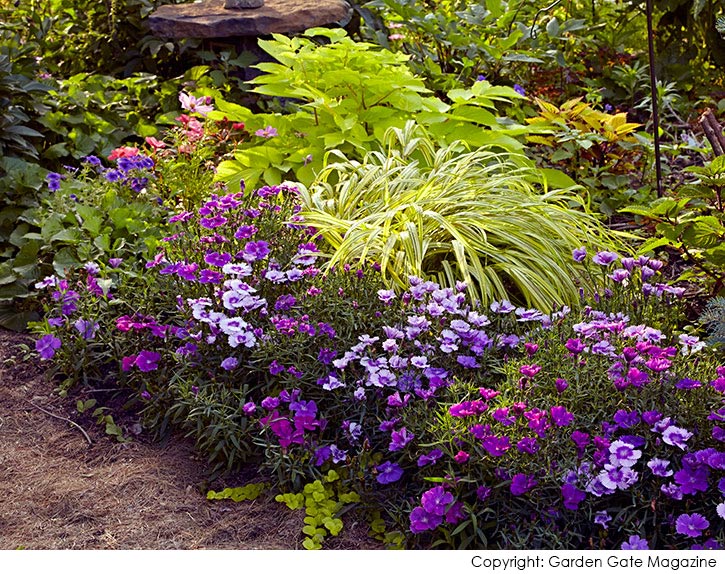 Planifier une plate-bande - Jardin Eden